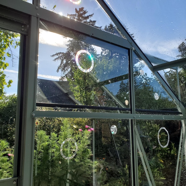 Rainbow Prism Sea Turtle Decals Static Window Clings Alert Birds to ...