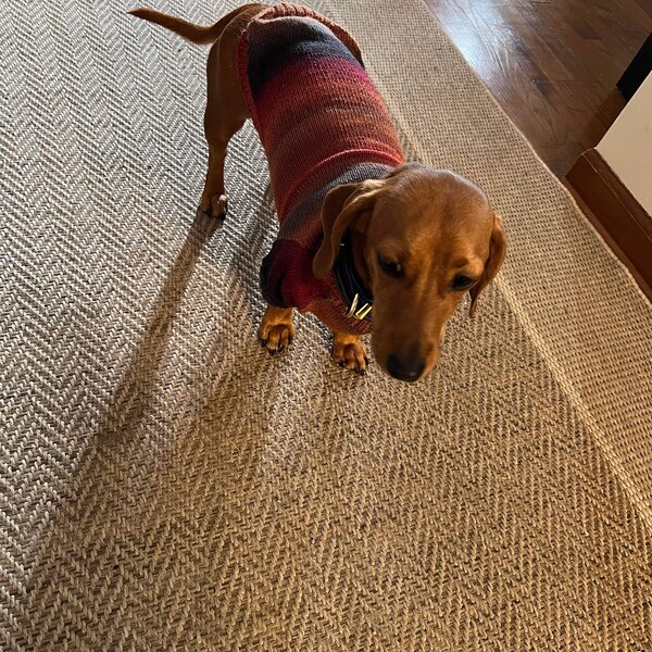 Dachshund Sweater - Dog Clothes - Dog Clothing - Dog Sweater ...