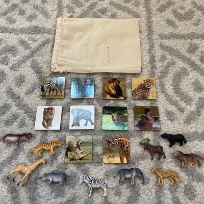 Montessori and Waldorf Learning Sea Life Animals Sustainable Match Toys ...