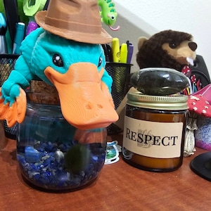Large Articulated Platypus 3D Printed Figure With Removable Hat ...