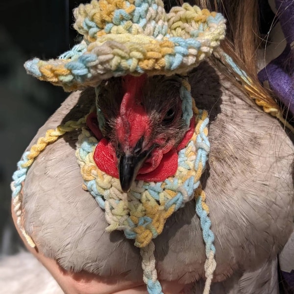 Crochet Pattern Cowboy Hat Chicken Hat Crochet Pattern Hat for Chicken ...