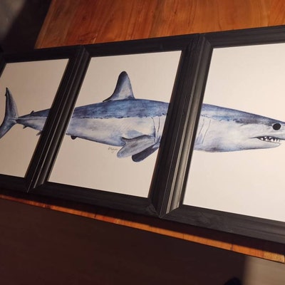 PRINTABLE Mako Shark Watercolor Art Poster Set of 3, Mako Shark Art ...