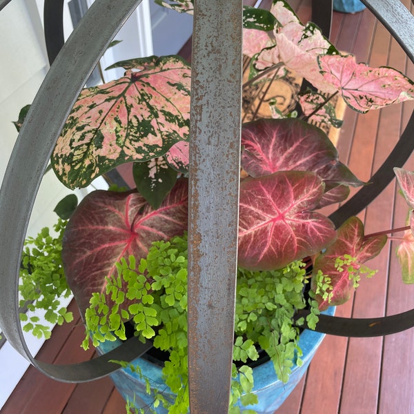 Assorted Fresh Greenery | DIY Wedding & Event Kit | Mix of Eucalyptus ...