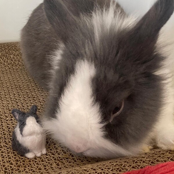 Custom Finch | Bird App Pet | Personalised Finch App - Etsy