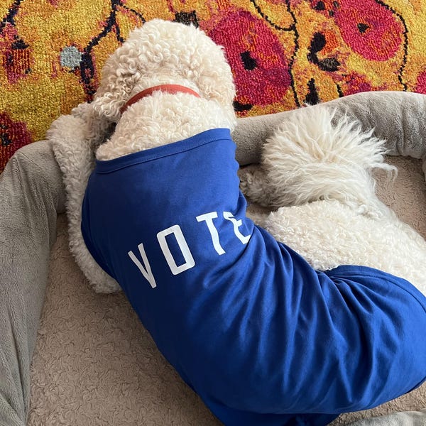 Flower Man Fanny Pack, Flower Dude Custom Fanny Packs, Flower Guy Waist ...