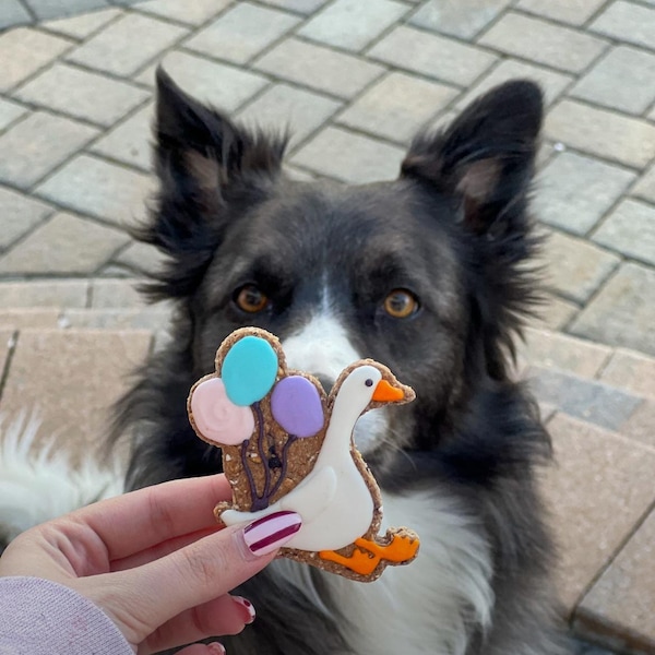 Denim/leather Jacket Cookie Cutter - Etsy