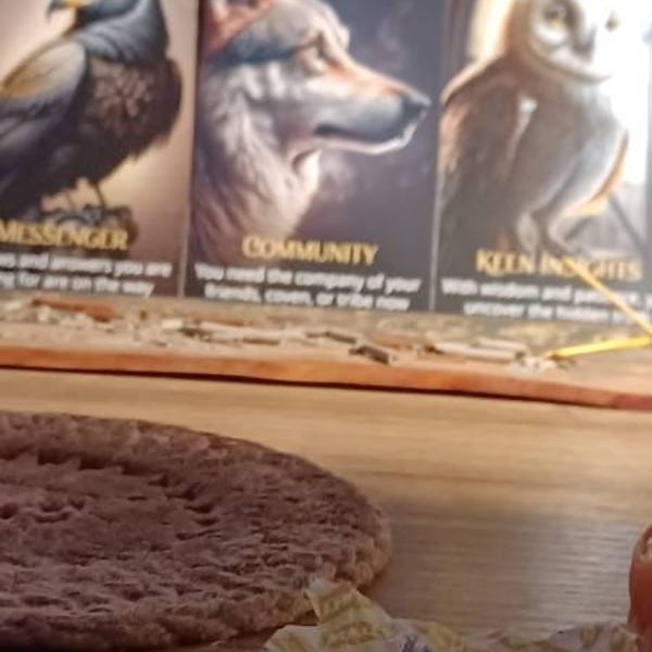 CUSTOM PREORDER: Guiding Insights Angel Oracle Deck With Celestial ...