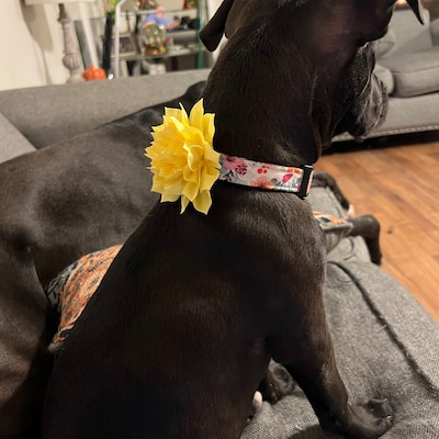 Reindeer Dog Collar Embellishment Christmas Dog Collar - Etsy