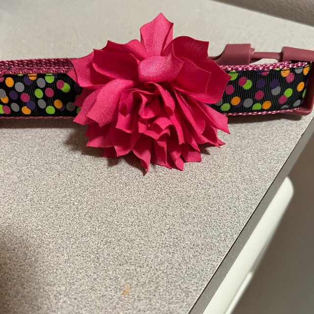 LabradorableCollars (by Labradorable Collars) - Etsy