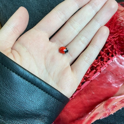 Ladybug Pin Realistic Miniature Ladybird Brooch - Etsy