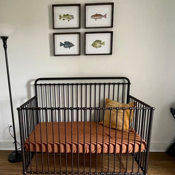 Lake Fish Art, Fish Watercolor Print Set, Fish Wall Art Set, Fishing ...