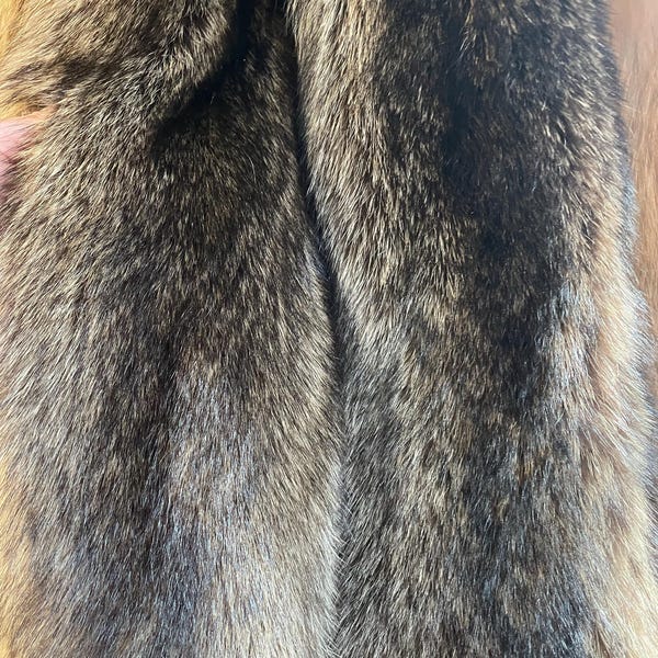 Coyote Hide Professionally Tanned #1 Grade/fur/viking Cloak/cape - Etsy
