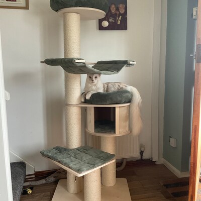 IVORY CREAM Cuddle Fleece 3pc Cat Tree Bed Replacement Set to - Etsy UK