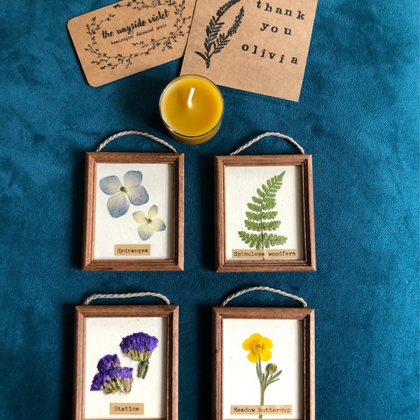 Tiny Framed Herbarium Pressed Flower Art: Mini Fern Artwork - Etsy