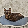 Tortoiseshell Cat Sticker 4.14x3 In, Tortie Cat Sticker, Hand Drawn Art ...