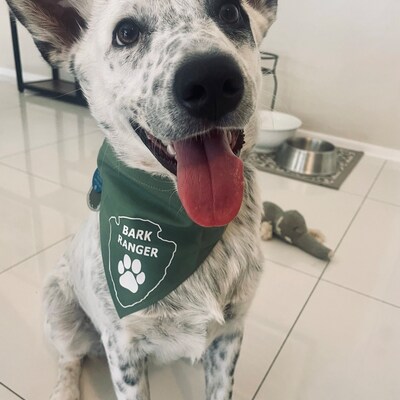 Bark Ranger Dog Bandana - Etsy