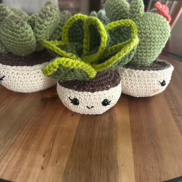 Dwarf Snake Plant Crochet Pattern - Etsy