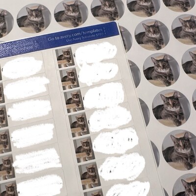 2025 Small Desk Funny Cat Calendar Optional Lamination and Wood Display ...