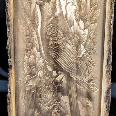 Laser Burn PNG 3D Illusion Engrave Laser Ready Digital Design File Bird ...