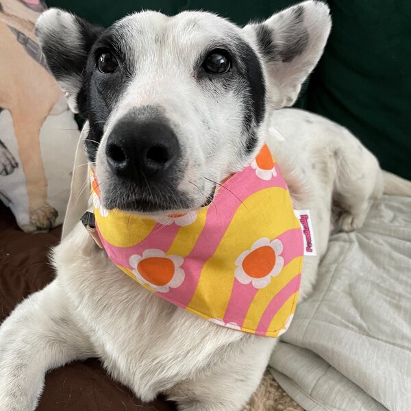 Retro Smiley Dog Tag Retro Dog Tag Pet Tag Custom Dog Tag Personalized ...