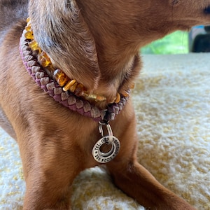 Agility and Working Dog Slip on ID Collar Tag. Stainless Steel FREE ...