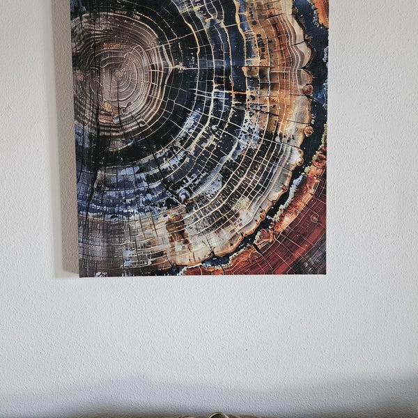 Tree Ring Framed Wall Art, Abstract Colorful Tree Ring Wall Decor ...