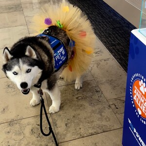 Music Note Tutu - Etsy