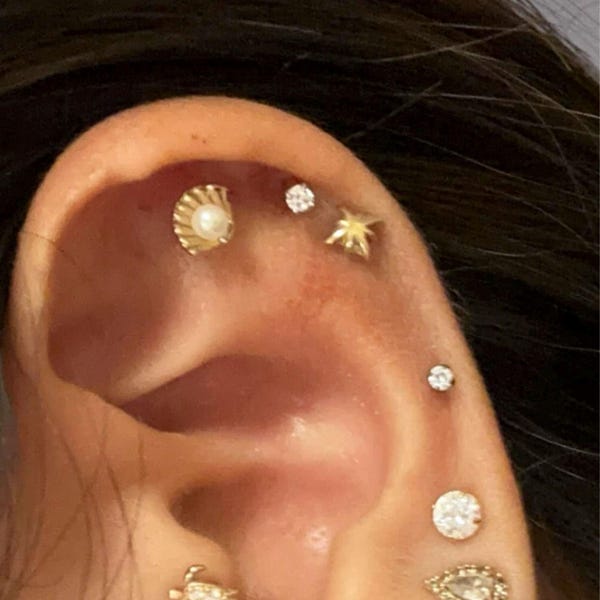 14K Solid Gold Shell Stud Earrings Pearl Cartilage Stud Earring Conch ...