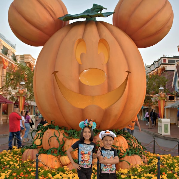 Blue Velvet Ears - Etsy