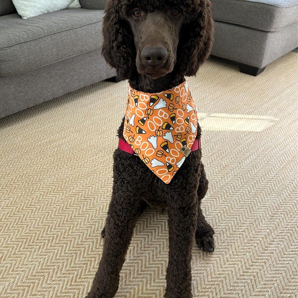 Dog Bandana Plaid Bandana Dog Gift Fall Dog Bandana Thanksgiving ...