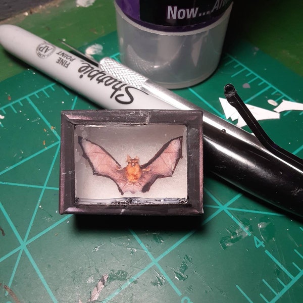 3 BAT Miniature Boxes Display Cases Set –1:12 Dollhouse Vampire Bat ...