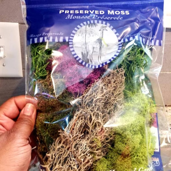 Supermoss Assorted Preserved Moss Mix 2oz - Etsy
