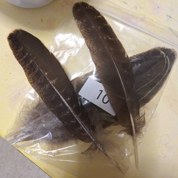 Natural Turkey Feathers, Smudging Feathers, Feathers for Smudging or ...
