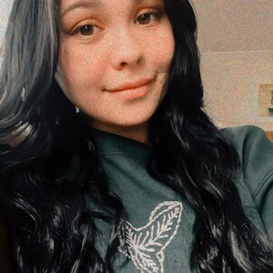 She-ra Heart of Etheria Hand Stitched First Ones Language Image of ...