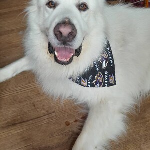 Small 9x12 Snuffle Mat Rooting Rug Canine Pet Dog Pig Rabbit - Etsy