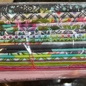 Henhouse Mini Quilt Pattern From Creative Abundance - Etsy