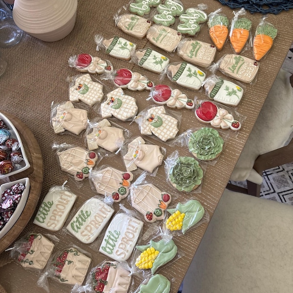 One Silly Goose Baby Shower Birthday Cookies Vibrant Summer Handmade ...