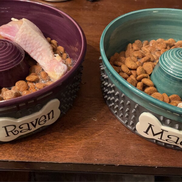 Personalized Slow Feeder Dog Bowl Single Spiky Ceramic Pet Dish Made to ...