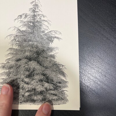 Pine Tree Note Card Set of 10 in White or Light Ivory With Matching ...