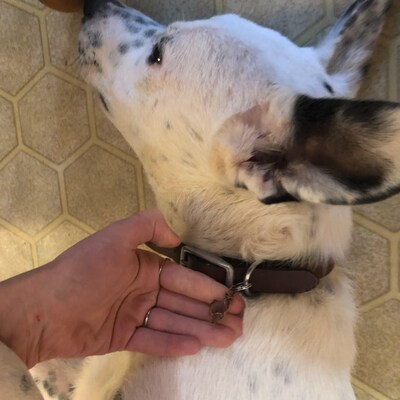 Raw Natural Crystal Key Chains/pet Collar Charms You Choose - Etsy