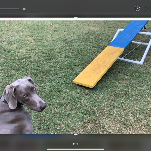 Dog Agility Single Double Bar Jump - AKC Reg. Size - Superior Quality ...
