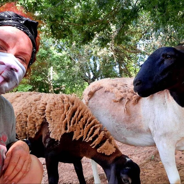 Sheep Face Mask, Neck Gaiter for Adults, Washable and Reusable Face ...