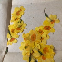 Map Lamp Shade, Custom Topographic Map Lampshade of Your Favorite Place ...