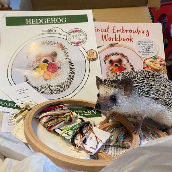 DIY Cute Hedgehog Hand Embroidery Kit, Animal Thread Painting Pattern ...