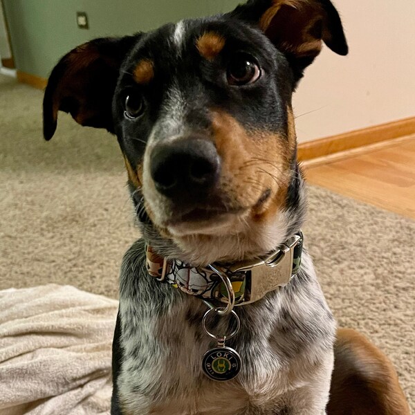 Dog Tags - Loki - Marvel - Pet Tags, Cat Tags, Dog ID Tags, Pet ID Tags ...