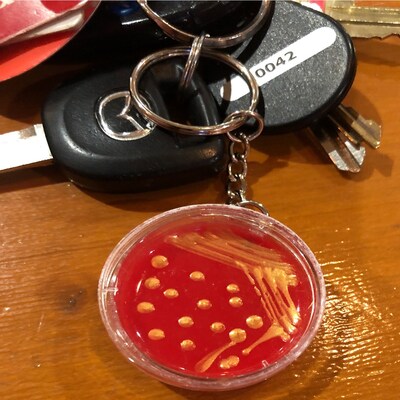 Staph Aureus Petri Dish Keychain / Microbiology Agar Art / Bacteria ...
