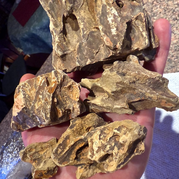 Terrarium Substrate Mix (premium Blend) | Terrarium Soil, Vivarium ...