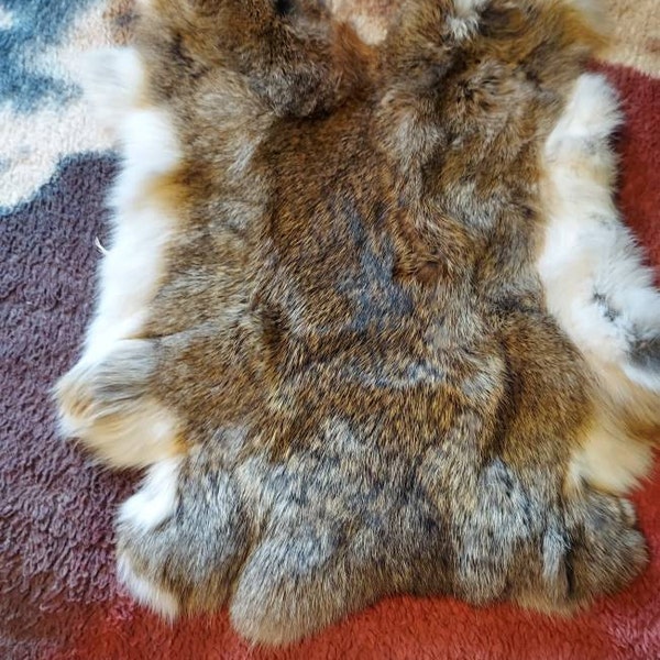Brown Rabbit Hide - One Jumbo - Natural Rabbit Fur - Lot No. 230125-I ...