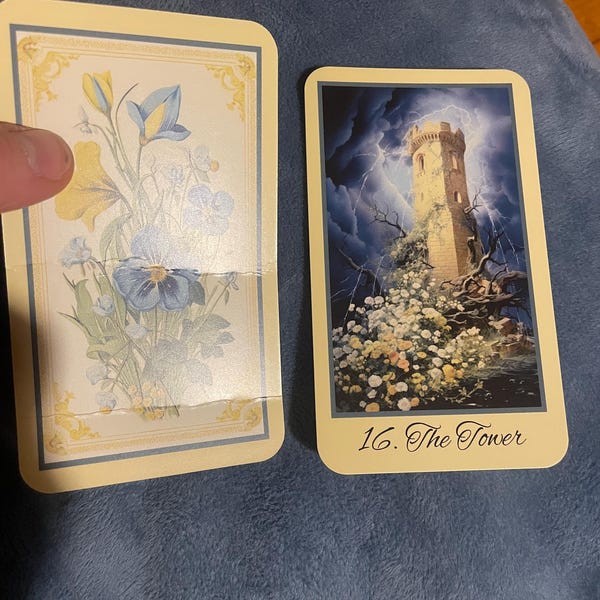 Bygone Spring Tarot • Antique Springtime 78-card Deck • Victorian ...
