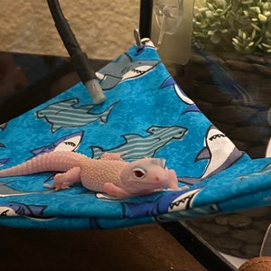 Leopard Gecko Poop Tray or litter Box - Etsy